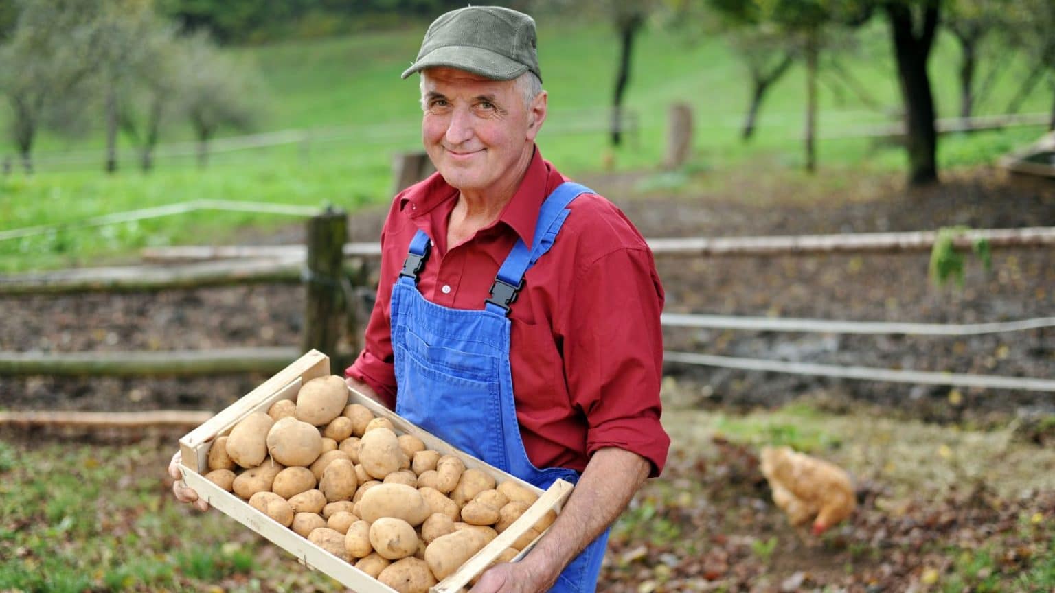 21 Thank You Messages and Quotes for Our Hardworking Farmers