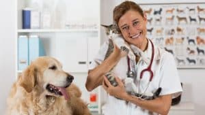 27 Veterinarian Thank You Note Example Messages