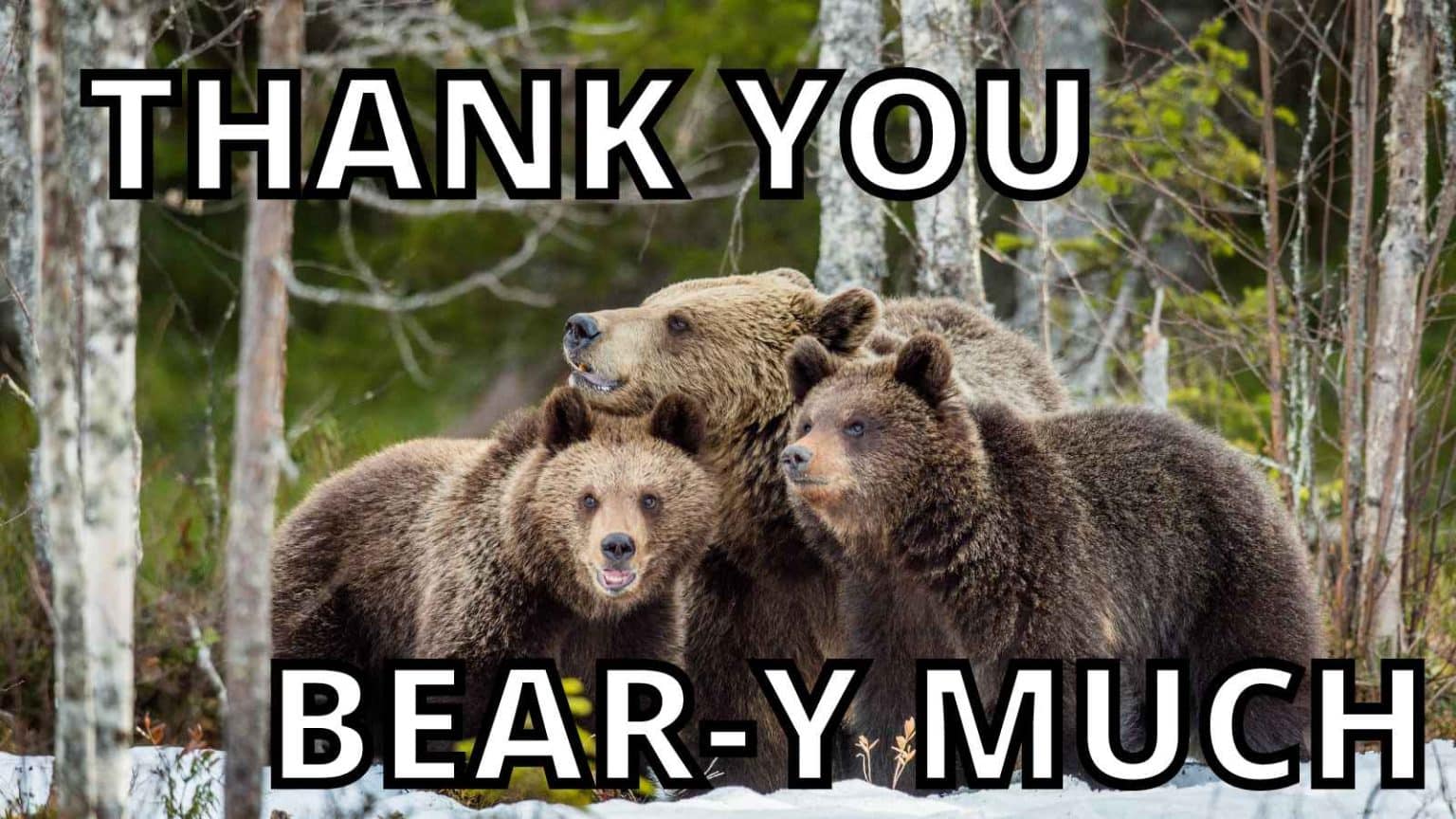 33 Of The Cutest Thank You Memes And Puns Get Ready To Smile