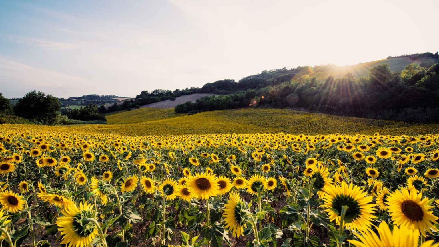 31 Things in Life That You Can Always Be Grateful For