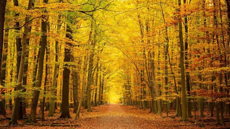 31 Things in Life That You Can Always Be Grateful For