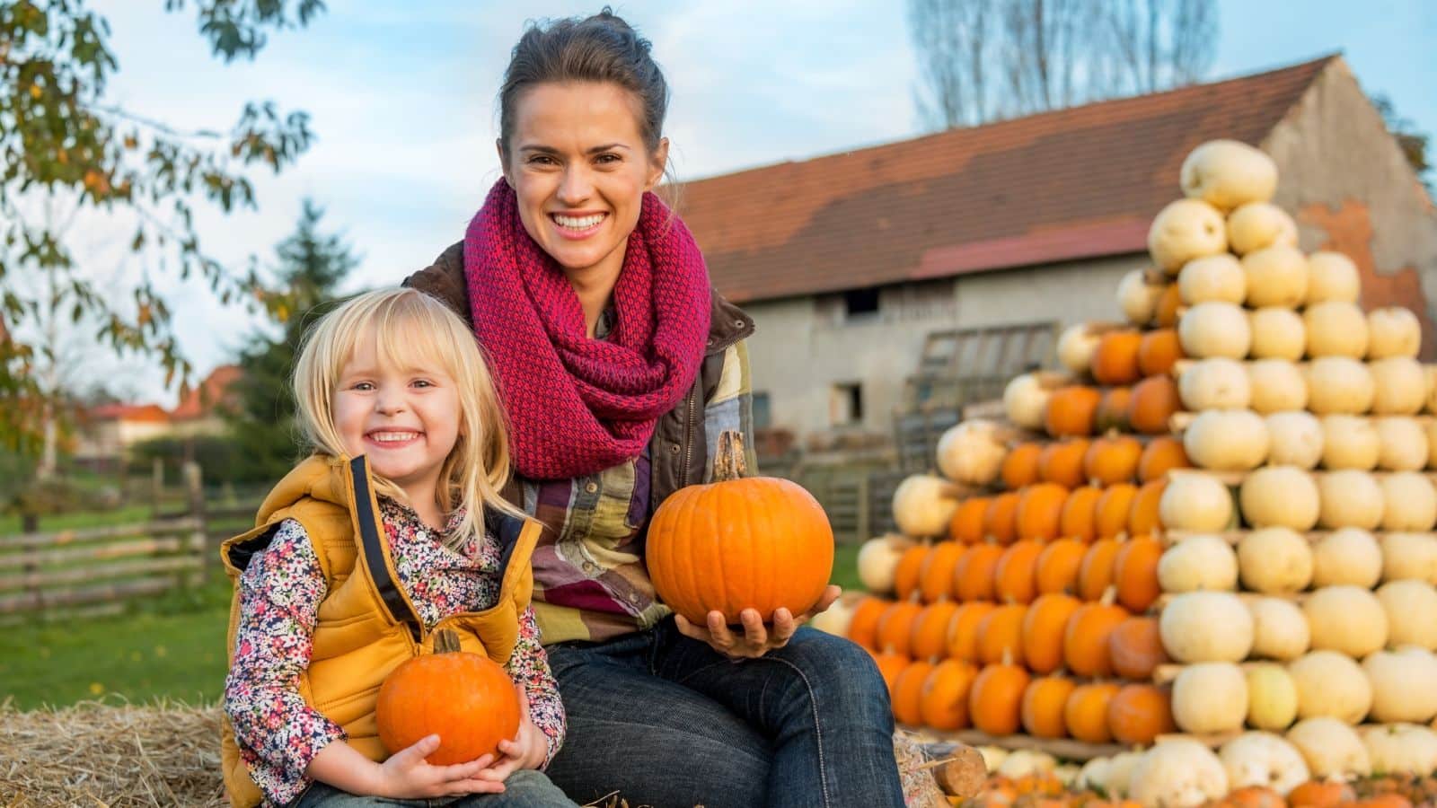 37 Fun Fall Activities To Make The Most Of Fall This Year