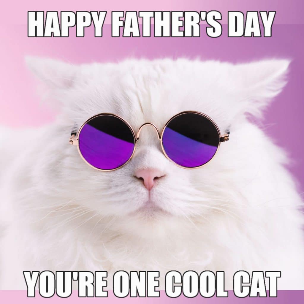 15 Fun Father's Day Memes
