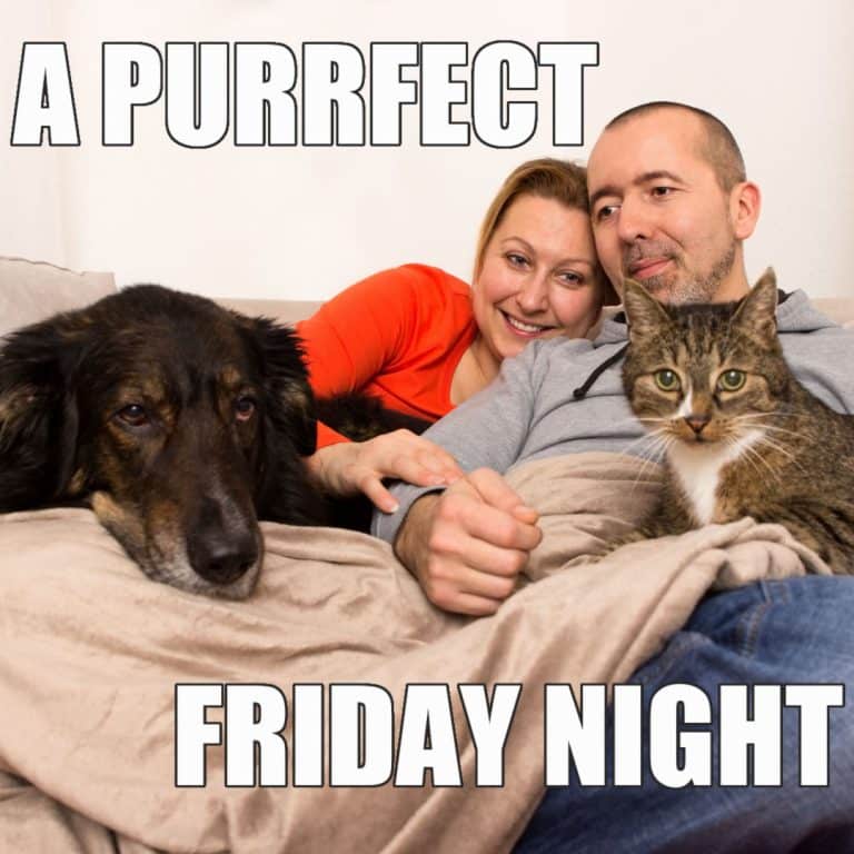 34 Hilarious Friday Memes To Laugh Your Way Into the Weekend