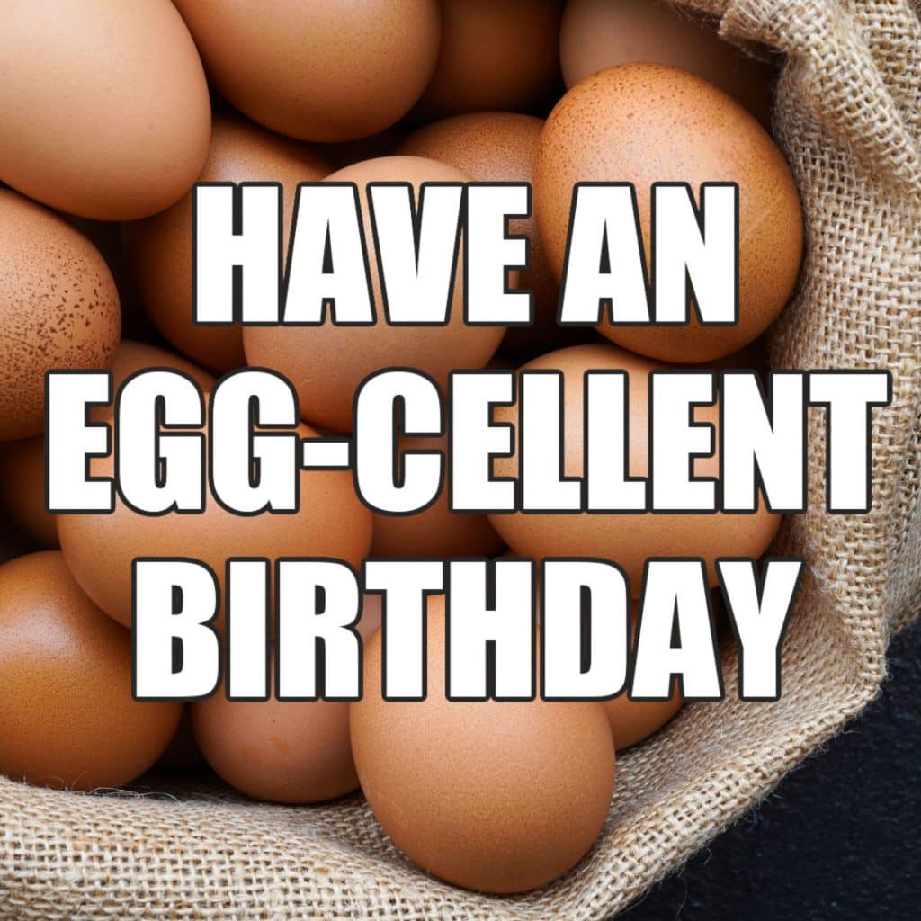 26 Funny Happy Birthday Memes To Make Them Smile on Their Special Day