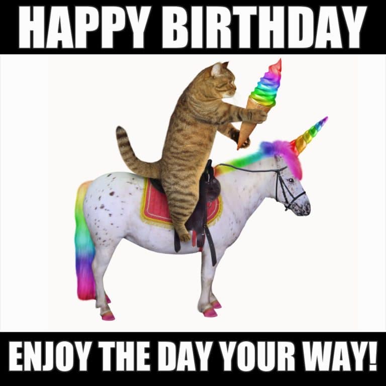 26 Funny Happy Birthday Memes To Make Them Smile on Their Special Day