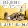 15 Funny Happy Birthday Memes For Your Boss