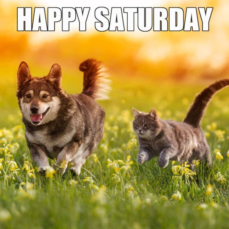 20 Perfectly Clean Memes to Laugh at Today