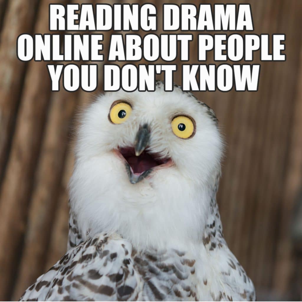 26 Cute Animal Memes That Will Instantly Brighten Your Day
