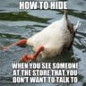 26 Cute Animal Memes That Will Instantly Brighten Your Day