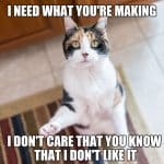 26 Cute Animal Memes That Will Instantly Brighten Your Day