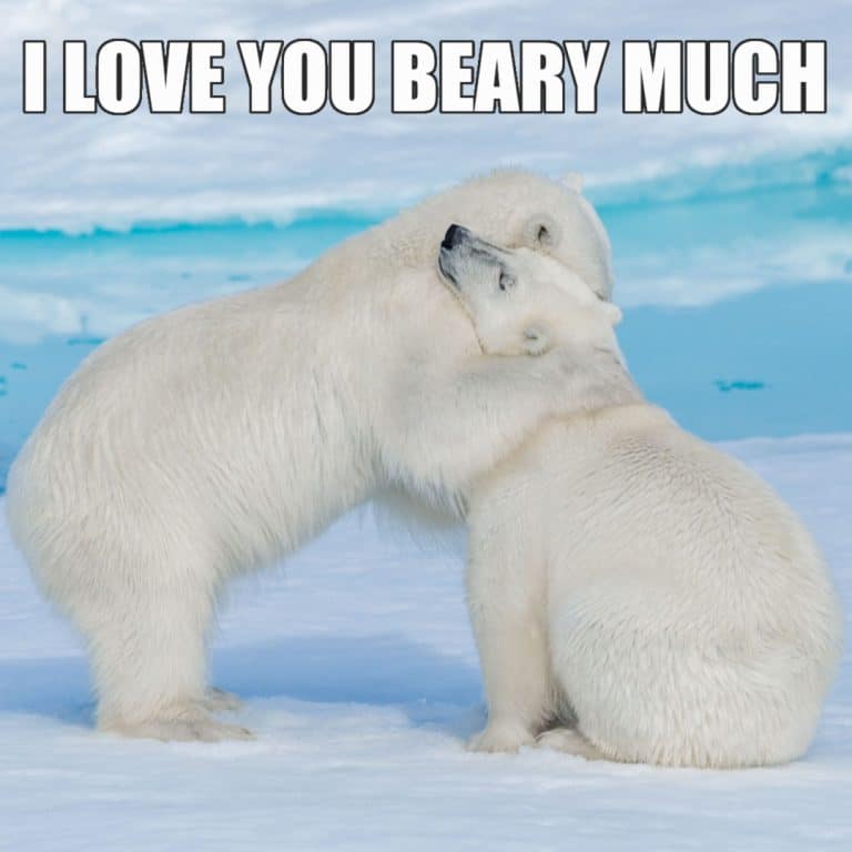 21 Funny Love Memes That Will Make You Smile or Laugh