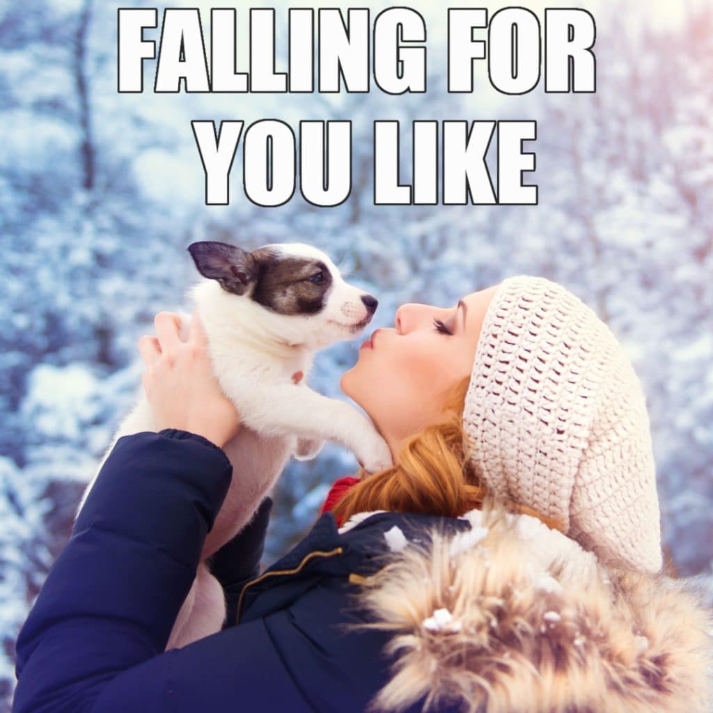 21 Funny Love Memes That Will Make You Smile or Laugh