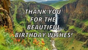 17 Nice Thank You for the Birthday Wishes Memes and Puns
