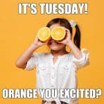 16 Funny Tuesday Memes To Make You Laugh (Tacos Included)