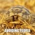 17 Cute Turtle Memes To Make You Smile or LOL