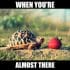 17 Cute Turtle Memes To Make You Smile or LOL
