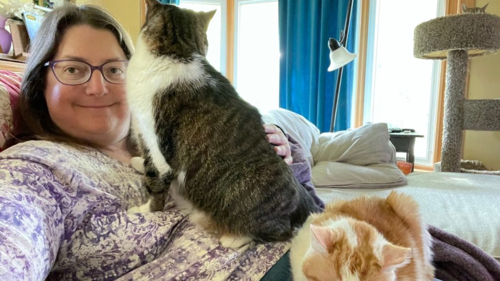 15 Cute Reasons Why Cats Are Absolutely the Best