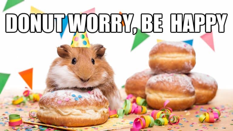15 Fun Food Puns to Make You Laugh (or Groan)