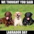 18 Funny Labor Day Memes To Make You Laugh During the Long Weekend
