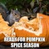 Enjoy Fall With These 12 Funny Pumpkin Spice Memes