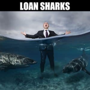 12 Silly Shark Memes to Make You Laugh