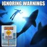 12 Silly Shark Memes to Make You Laugh