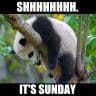 15 Funny Sunday Memes To Make You Laugh on Sundae