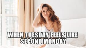 16 Funny Tuesday Memes To Make You Laugh (Tacos Included)