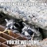 12 Funny Clown Memes to Make You Laugh. We Aren't Clowning Around